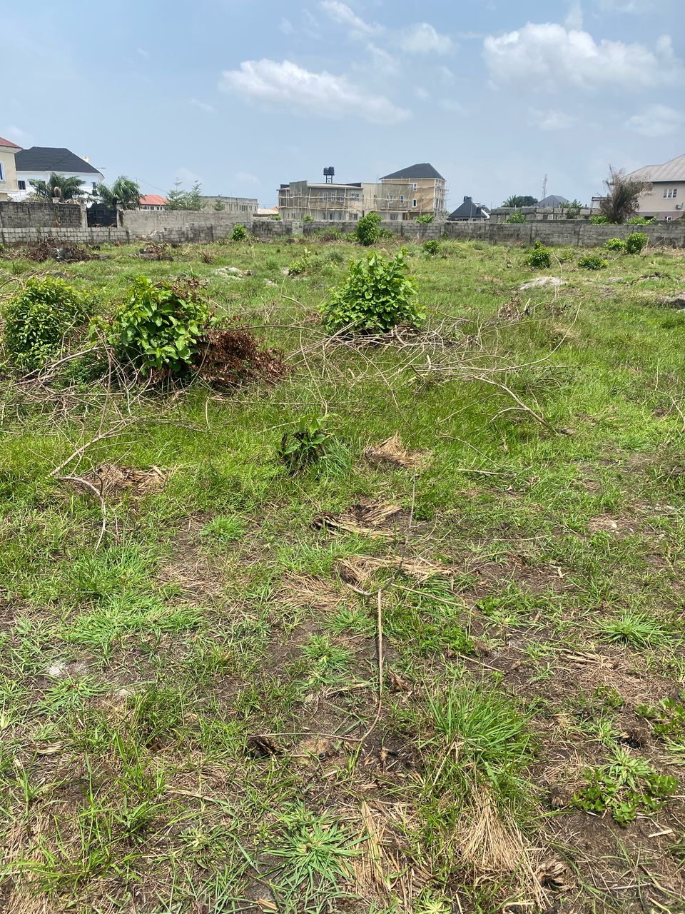 A bare land of 1000 Sqm – Bola Adebule & Co.